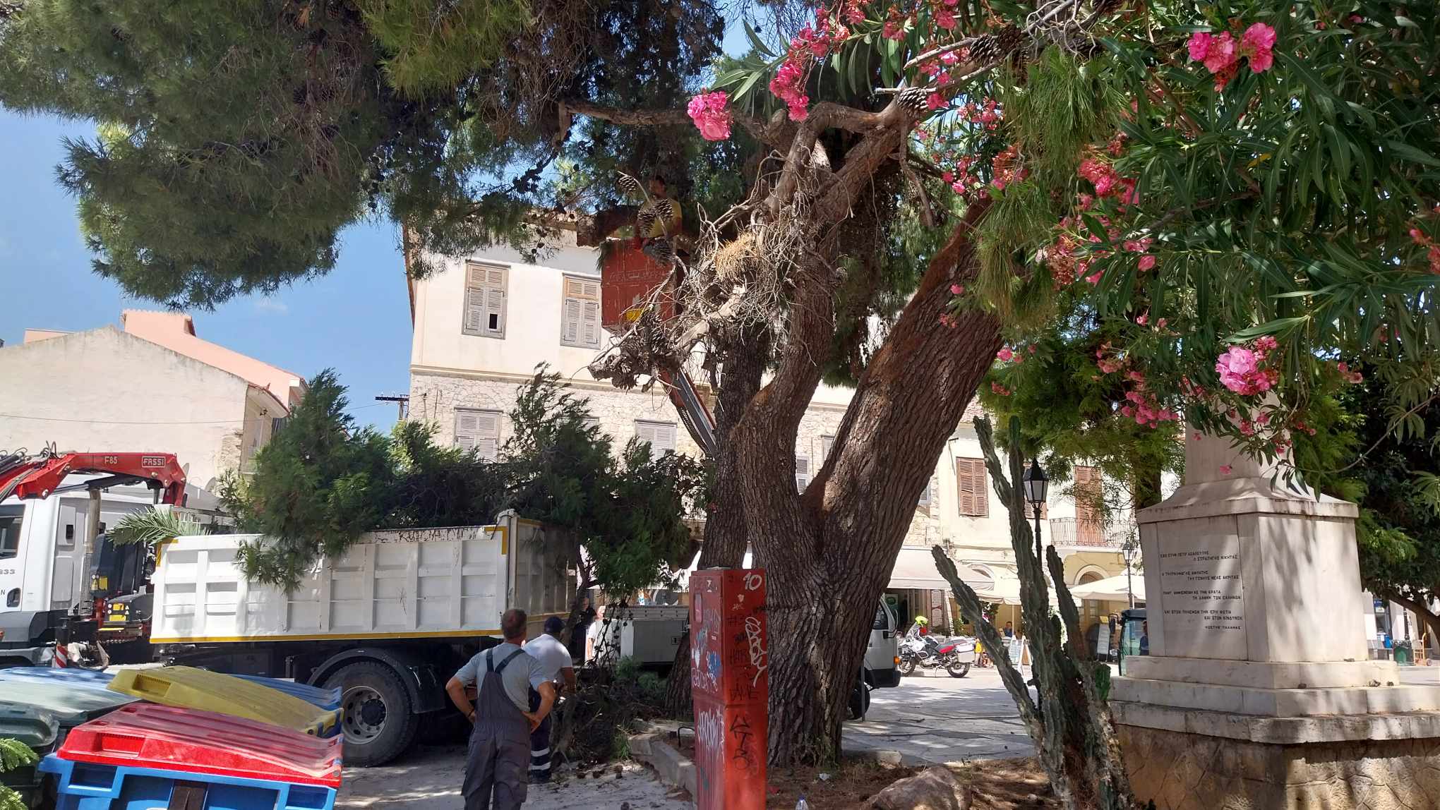 Προληπτικό κλάδεμα δένδρων στον Δήμο Ναυπλιέων - ΑΡΓΟΛΙΔΑ.TV του ...